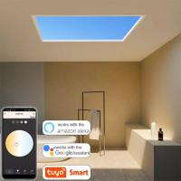 China 110V/220V Indoor LED Skylight Panel 120.6x60.6cm with 6000-8000lm Output and Smart Control for sale