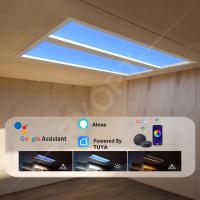 China 100W LED Sunlight Simulator Skylight - 30° Beam Angle, 2000lm Smart Tuya Control, 2200-7800K CCT for sale