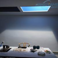China 500W Tuya Blue Sky Skylight Artificial Sunlight Panel 120x60cm CCT Adjustable 1000 Lumens for sale