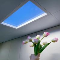 China Smart LED Skylight Panel Control Ceiling Reserve Height 350mm Dimmable WiFi Tuya Bluetooth for sale