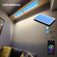 China 1200x600mm Artificial Skylight LED Panel with CRI 95 and 6000-8000LM Output for Circadian Lighting for sale