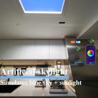 China IP65 Artificial Sunlight Panel For Eco Friendly Vertical Lighting 600*600*295mm for sale