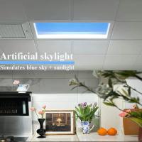 China 100W Artificial Daylight Skylight Panel with 2200K-8000K CCT and 95 CRI - Recessed Ceiling Mounted Dimmable Smart Lighting for sale