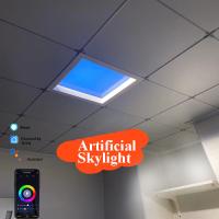 China 5000LM Dimmable Led Panel Light With Sunlight Like Illumination for sale