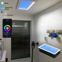 China 6000LM Skylight Ultra Thin Led Panel For 6-10 Square Meter Area for sale