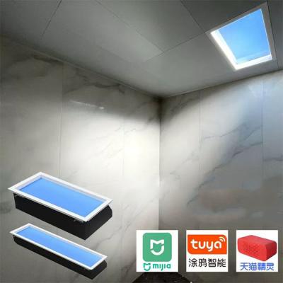 China Surface Mounted LED Artificial Skylight 100W 1200mm White for Home Office Commercial for sale