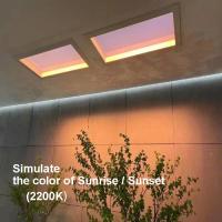 China RYOPT LED Fake Window Light Panel Artificial Sunlight 7800K 8000-10000 Lumens Circadian Lighting for sale