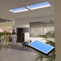 China Dimmable 2700K-10000K Artificial Window Light Fake Window with Sunlight 50W 8000 Lumen for sale