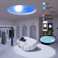 China 600mm Dimmable Artificial Skylight Panel with IP65 Waterproof Rating and 45° Beam Angle for Sunlight Simulation for sale