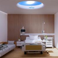 China 80W Smart Round Sunlight Panel 600mm 90 CRI Artificial Sunlight for Indoor Lighting for sale