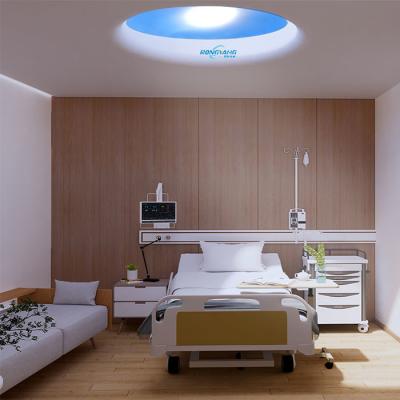 China 80W Smart Round Sunlight Panel 600mm 90 CRI Artificial Sunlight for Indoor Lighting for sale