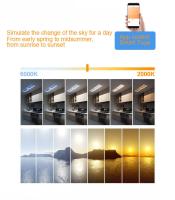 China Artificial Sunlight Panel 80W 100-240V LED Simulated Sunlight for Indoor Spaces for sale