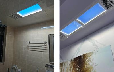 China RYOPT Faux Skylight Panel RY3060 95% Light Transmission Tuya Remote White Warm Energy Lighting for sale