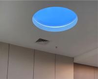 China 2700K-6500K Dimmable Skylight Lamp 80W with Remote Google Assistant Full Scene Scheduling for sale