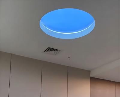 China 2700K-6500K Dimmable Skylight Lamp 80W with Remote Google Assistant Full Scene Scheduling for sale