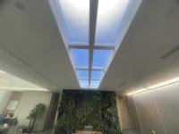 China Rectangle Faux Skylight Panels 220mm Highness Customizable Solutions for sale