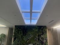 China RYOPT E-6060 Embedded Artificial LED Skylight 150W AC100-240V Aluminum Alloy PC for sale