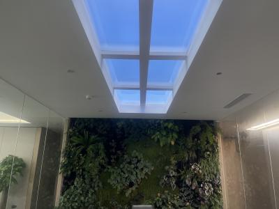 China RYOPT E-6060 Embedded Artificial LED Skylight 150W AC100-240V Aluminum Alloy PC for sale