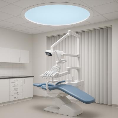 China Smart Daylight Ceiling Light for Homes and Offices with No Windows artificial led skylight for sale