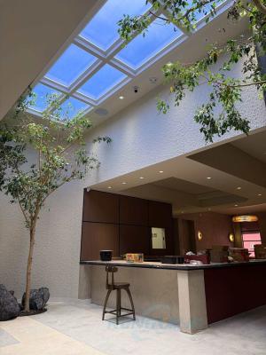 China Artificial LED Skylight with 2100K-7500K Color Temperature 50,000 Hours Lifespan for Embedded Installation for sale