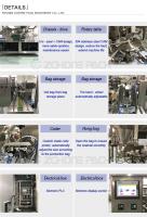China Fully Automatic Premade Bag Vacuum Rotary Packaging Machine for sale