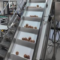 China Pet Snacks, Chew Balls, Cat Food, Dog Food, and Animal Feed Rotary Packaging Machine for sale