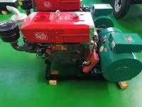 China Cummins Silent Type Diesel Generator , 250KVA Three Phase Generator for sale