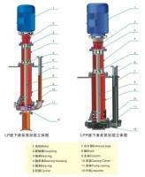 China 40P-LP Abrasive Submerged Centrifugal Slurry Pump 2200rpm 16.2m3/h for Mining Metallurgy Coal for sale