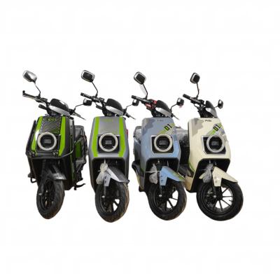 China LY-FN08Electric motorcycle Electric bicycle adult electric scooter for sale