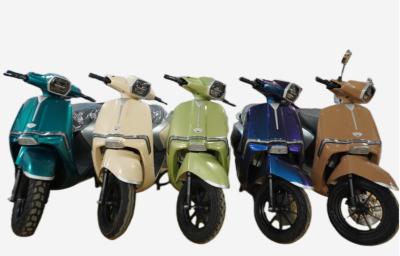 China LY-JHG12Electric motorcycle Electric bicycle adult electric scooter for sale