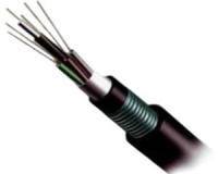 China Central Loose Tube G652D Outdoor Fiber Optical Cable Armored Steel Tape GYXTS12 for sale