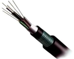 China Central Loose Tube G652D Outdoor Fiber Optical Cable Armored Steel Tape GYXTS12 for sale