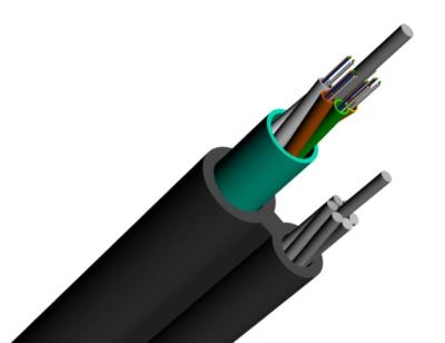 China SM 48 Core 250µM Self Supporting Fiber Optic Cable GYTC8S 200M Span for sale
