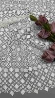 China 100% Poly Off White Geo Chemical Embroidered Lace Fabric For Women Clothing for sale