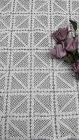 China 100% Cotton Ivory GEO High Quality Embroidered Lace Fabric Full Width For Fashion Women Clothing for sale