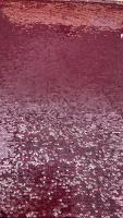 China Leafy Red Sequin Embroidery Fabric  For Party Occasions Dresses for sale
