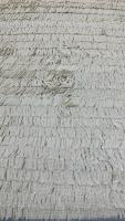 China Sequin Embroidered Fabric Sequin Tasstels Embroidered Evening Luxury Occasion Wedding Fabric for sale