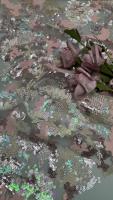China Sequin Lace Fabric Leafy Sequin Floral Elegant And Breathe Embroidered Lace Fabric Luxury Occasion Fabric for sale
