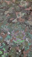 China Sequin Lace Fabric Leafy Sequin Floral Elegant And Breathe Embroidered Lace Fabric Luxury Occasion Fabric for sale