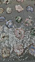 China Sequin Embroidered Lace Fabric Shining 100% Polyester Sequin Lace Fabric for sale