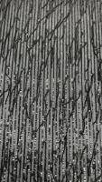 China Rope Stripe Sequin Embrroidered Fabric Mesh Ground Breate Elegant For Evening Dress for sale