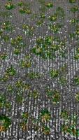 China Green And White Sequin Embroidered Fabric Lace Fabric New Collections for Garments Gowns for sale