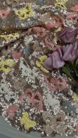 China Sequin Embroideded Lace Fabric Elegant Mesh From Factory to Your Fashion Line for sale