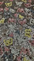 China Sequin Embroideded Lace Fabric Elegant Mesh From Factory to Your Fashion Line for sale