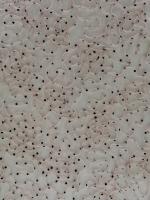 China Three Dimensional 3D Floral Lace Fabric Dot Flocked Tulle Cording Mesh for sale