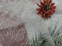 China Embroidery Corded Lace Fabric White Wedding Lace Fabric for sale