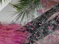 China Pink African Floral Tulle Mesh Colored Embroidery Fabric for sale