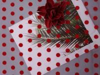 China Red Large Polka Dot Tulle Flocked Mesh Fabric for sale