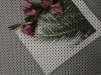 China Black Dot Flocking Tulle Mesh Flocked Mesh Fabric for sale