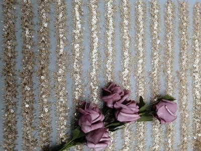 China Lady Dress Decoration 60 Yards Linear Embroidered Sequin Lace Fabric for sale
